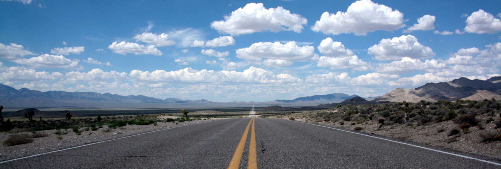 sectionbackground - Quaestio